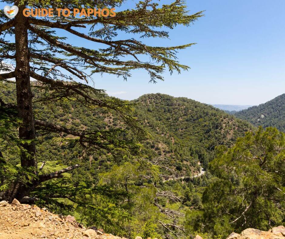 Cedar Valley | Guide to Paphos