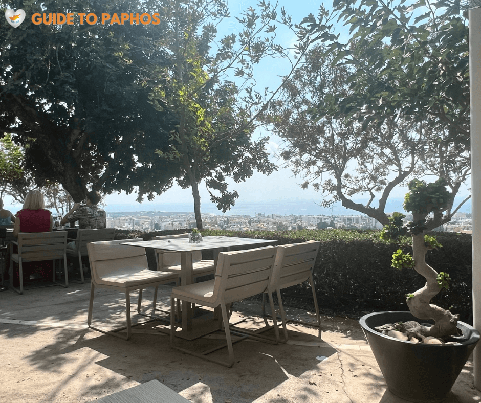 The Best Restaurants in Paphos Old Town | Guide to Paphos